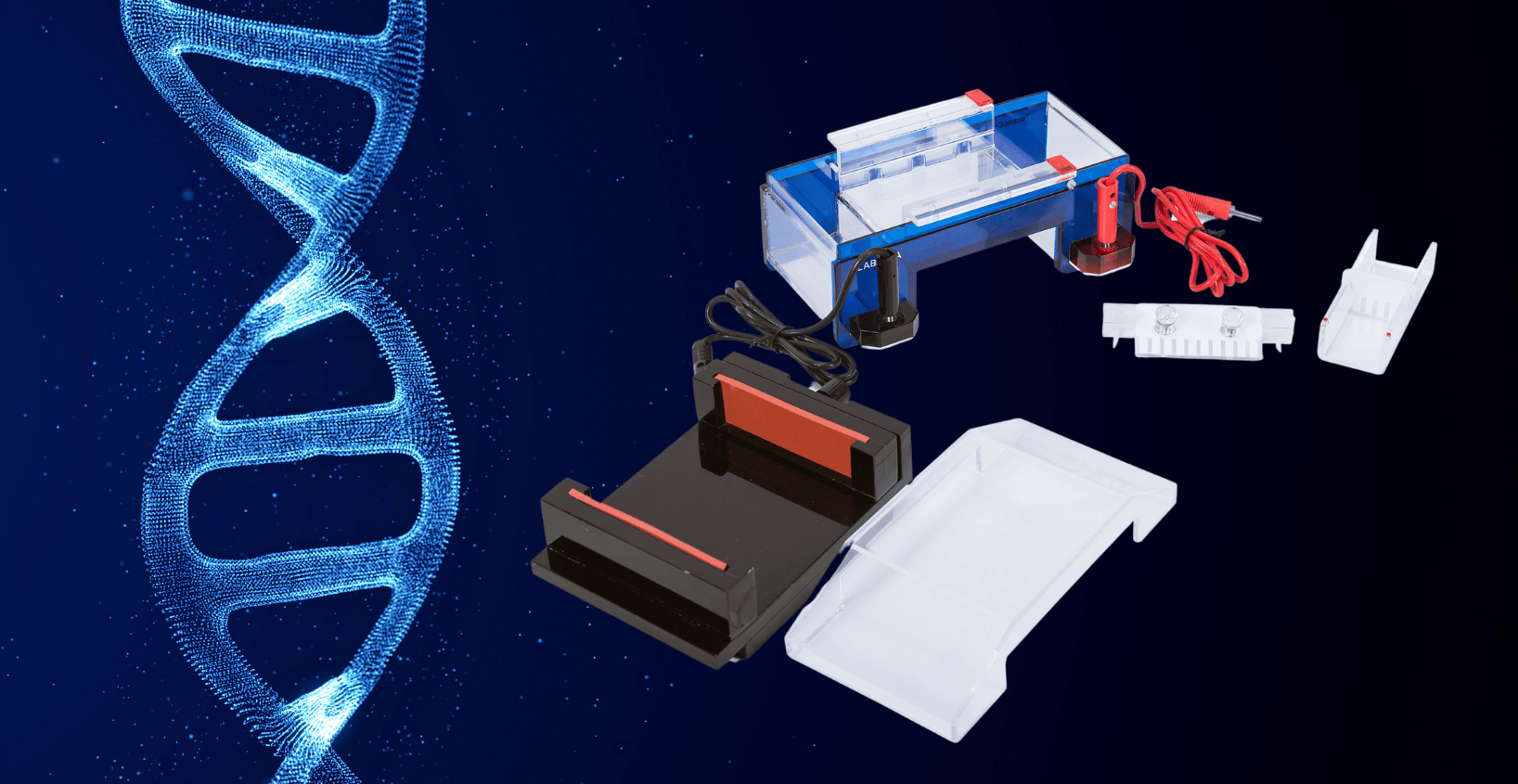 High-Precision Electrophoresis Systems for Labs | Labindia Analytical